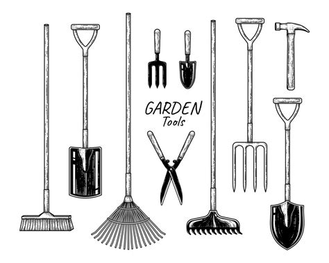 Sketch Vector Set Of Gardening Tools Broom Spade Fan Rake Fork