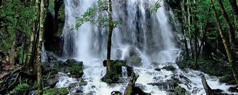 Conoce La Reserva De La Biosfera El Cielo En Tamaulipas Rincones De