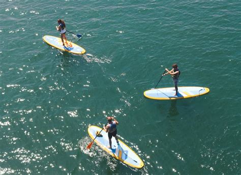 Austin Lady Bird Lake Stand Up Paddleboard Verleih Getyourguide