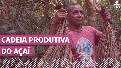 Cadeia Produtiva Do A A Na Rds Do Juma Youtube