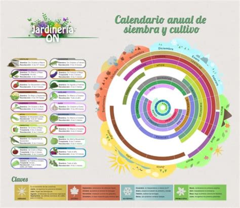 Calendario de cultivos anual Infografía