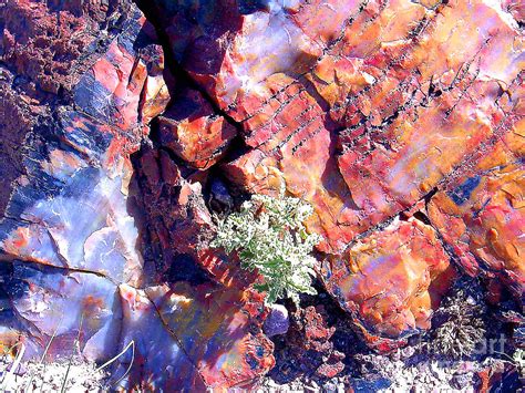 Mineral Deposited Arizona Rock Wall Photograph By Merton Allen