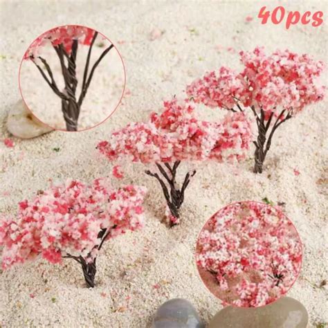 40 PI CES ARBRES Mod Les De Cerisiers Fleurs De Haute Qualit Pour Sc Ne