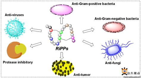Acs Editors Choice