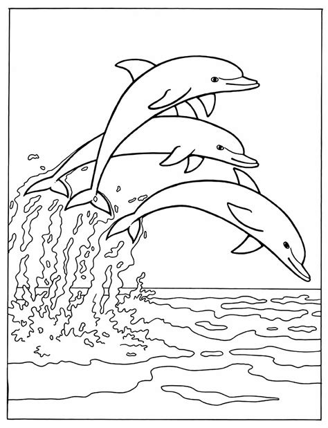 40 Desenhos De Golfinhos Para Colorir Como Fazer Em Casa