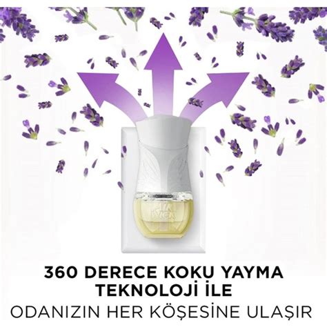 Air Wick Elektrikli Kit Oda Kokusu Lavanta Adet Cihaz Fiyat