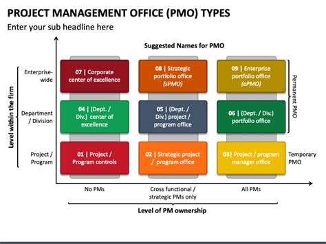 PMO Types PowerPoint And Google Slides Template PPT Slides