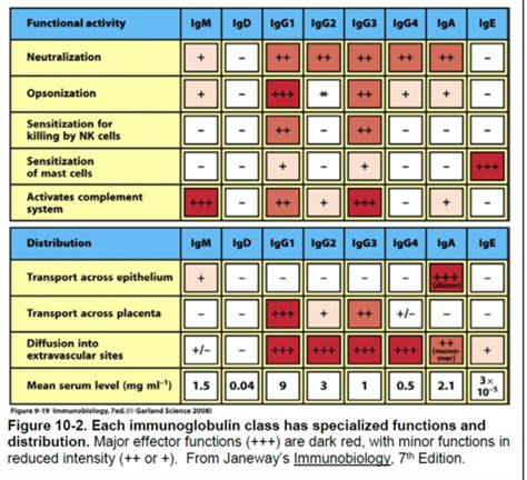 Effector Mechanisms Of Humoral Immunity Flashcards Quizlet
