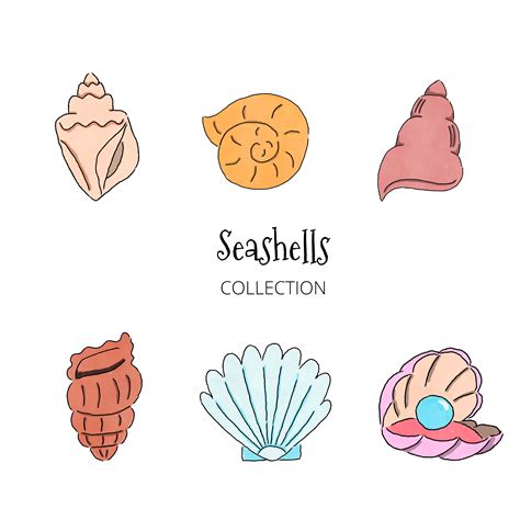 Seashell Vector Svg
