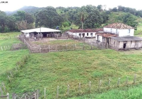Fazendas à venda na Zona Rural em Uruçuca Chaves na Mão