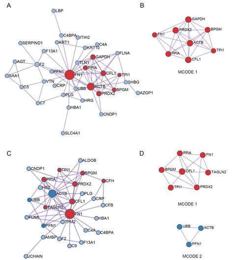 protein protein interaction ppi network and identification of mcode download scientific
