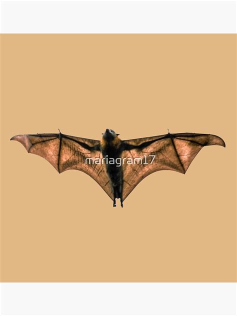Sticker Chauve souris volante sur fond doré Illustration de chauve