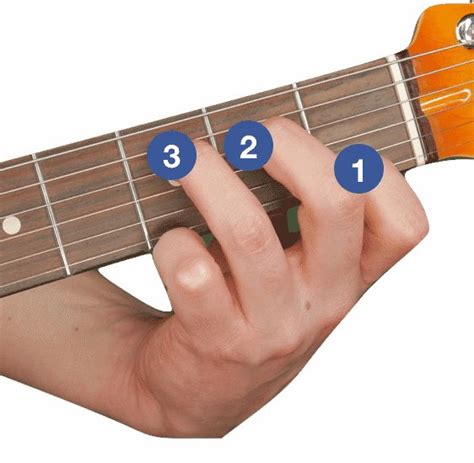 Dictionnaire visuel les 8 accords de guitare faciles pour débutants