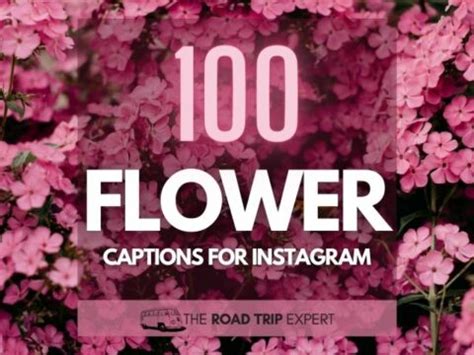 100 Amazing Flower Captions For Instagram With Quotes
