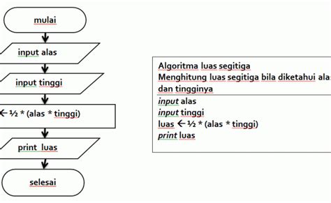 buatlah flowchart menghitung luas segitiga diagram dan otosection