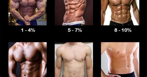 Body Fat Percentage How To Quickly Identify Your Body Fat Level