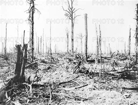 La Bataille De La Somme Photo L Illustration