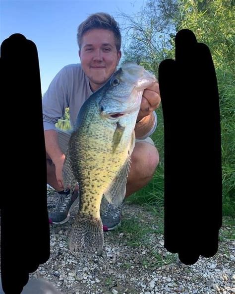 Pb Crappie Ohio Game Fishing