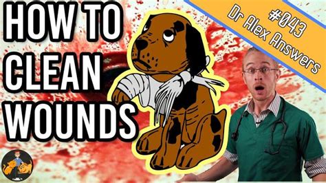 Cómo usar peróxido de hidrógeno en una herida de perro Una guía completa
