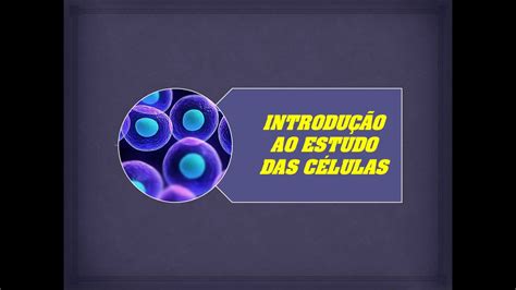 VÍDEO AULA INTRODUÇÃO AO ESTUDO DA CÉLULA PROF SHEILA YouTube