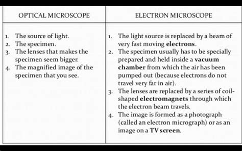 Differences Between Light Microscope And Electron Infoupdate Org