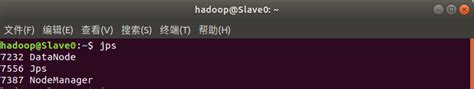 hadoop报错：failed to start namenode java lang illegalargumentexception uri has an authority