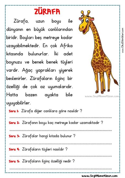 Okuma Anlama Metn Z Rafa Seyit Ahmet Uzun E Itime Yeni Bir Bak