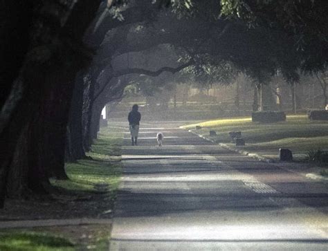 Homberg 21 Jährige beim Gassi gehen belästigt Metropolnews info