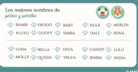 33 Ideas De Apodos Divertidos Y Originales Para Personas Con Orejas