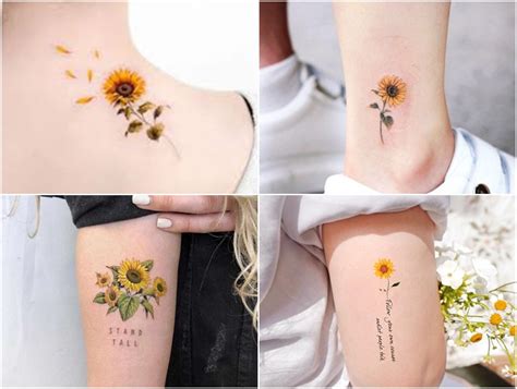 Mẫu hình xăm mini đẹp lung linh Tìm hiểu ngay để có tác phẩm sắc nét