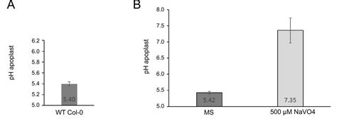 computational modeling and quantitative physiology reveal central parameters for brassinosteroid
