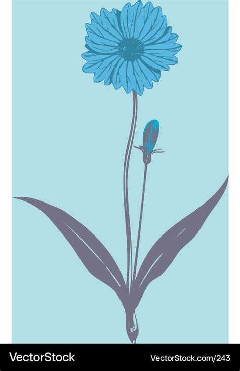 Flower Royalty Free Vector Image VectorStock