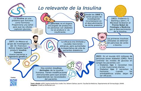 Funcionamiento de la Insulina Infografía