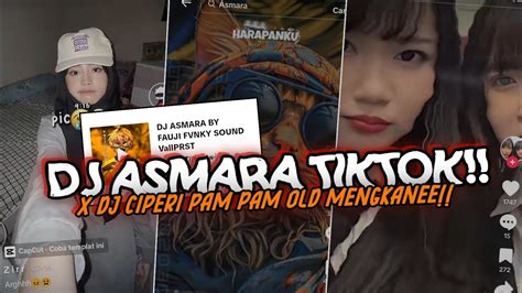 DJ HINGGA AKU TERJATUH TERSIKSA BATINKU ASMARA X CIPERI PAM PAM PAM OLD