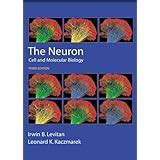 The Neuron Cell And Molecular Biology 9780199773893 Medicine