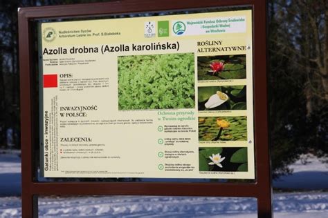 Edukacja W Walce Z Obcymi Gatunkami Inwazyjnymi Sozosfera Ochrona
