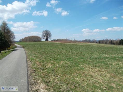 Działka Święcany bez pośrednika 8500 m2 85 000 zł