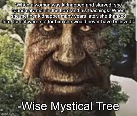 Wise Mystical Tree Imgflip