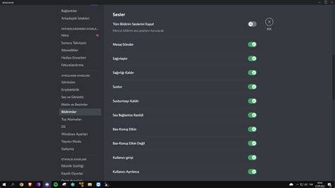 Çözüldü Discord daki hiçbir ses gelmiyor Technopat Sosyal