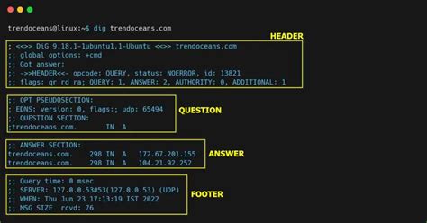 How To Install And Use Dig And Nslookup Commands In Linux For Dns