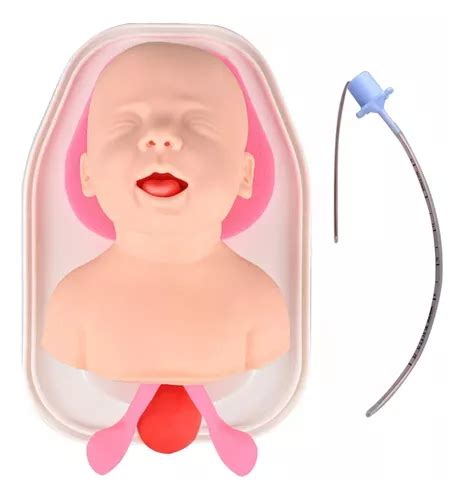 Maniqui De Intubación Pediátrica Para Entrenador De Intubaci Meses