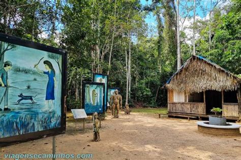 O Que Fazer Em Rio Branco Acre Viagens E Caminhos