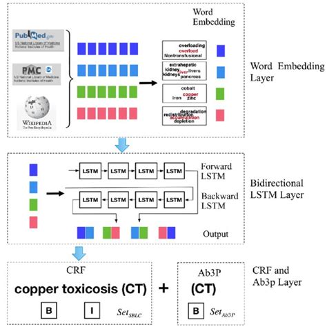the overall architecture of the proposed sblc model including three download scientific diagram
