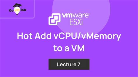 Lecture 7 How To Hot Add VCPU VMemory In VMware ESXi Host Step By