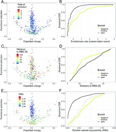 evolutionary rates relative solvent accessibility rsa and distances download scientific
