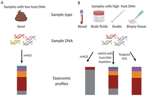 ijms free full text metagenomic sequencing for microbial dna in human samples emerging