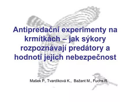 PPT Antipredační experimenty na krmítkách jak sýkory rozpoznávají