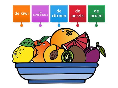 Fruit Diagramme 3 Labelled Diagram