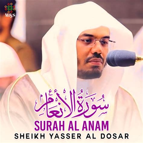 Surah Al Anam Single Album By Sheikh Yasser Al Dosari Apple Music