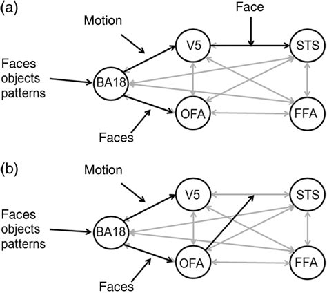 optimal dynamic causal models a the optimal bilinear model generates download scientific